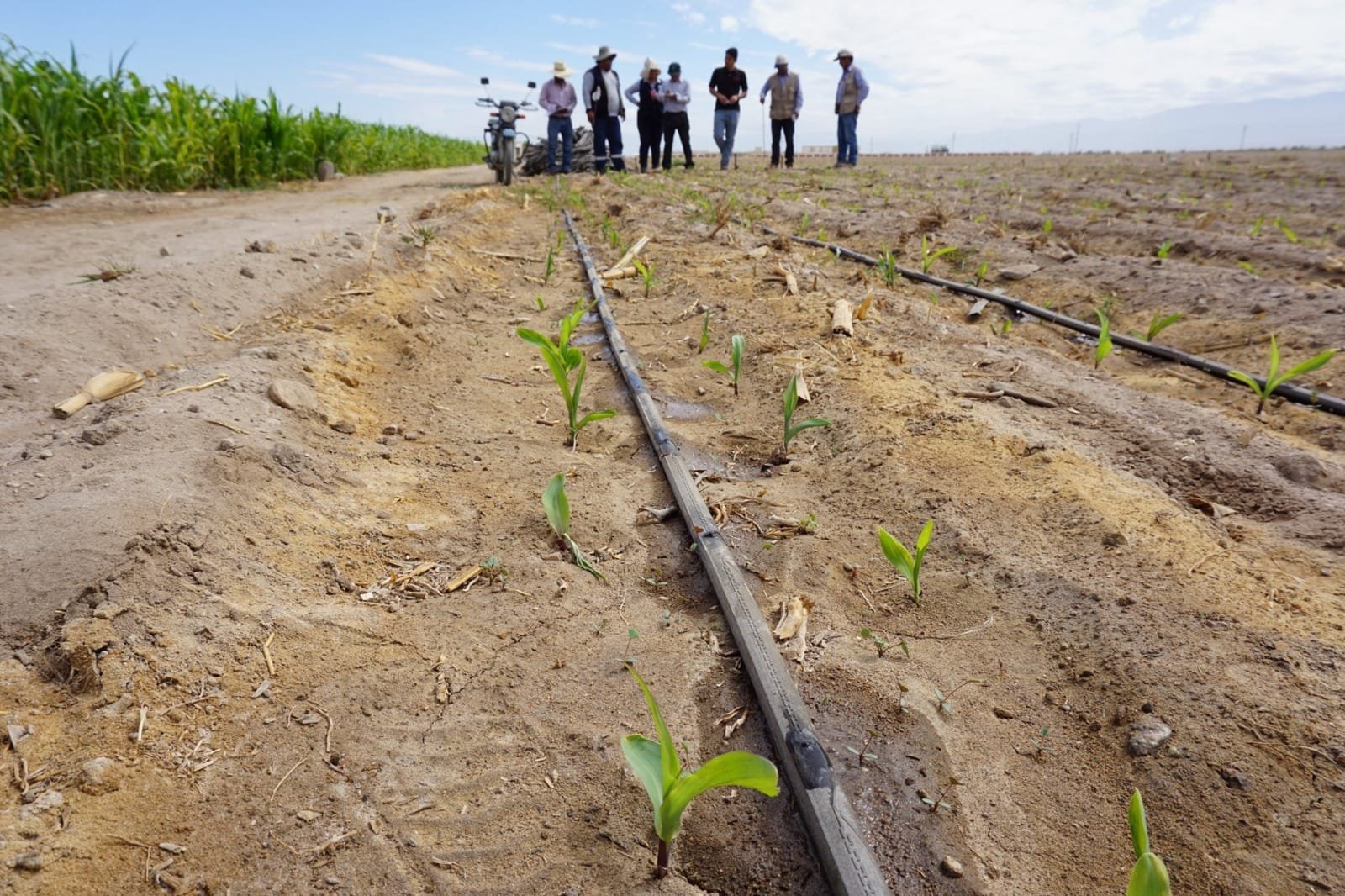 Autodema retrocede en reducción de módulo de riego para Majes - Revelación.pe